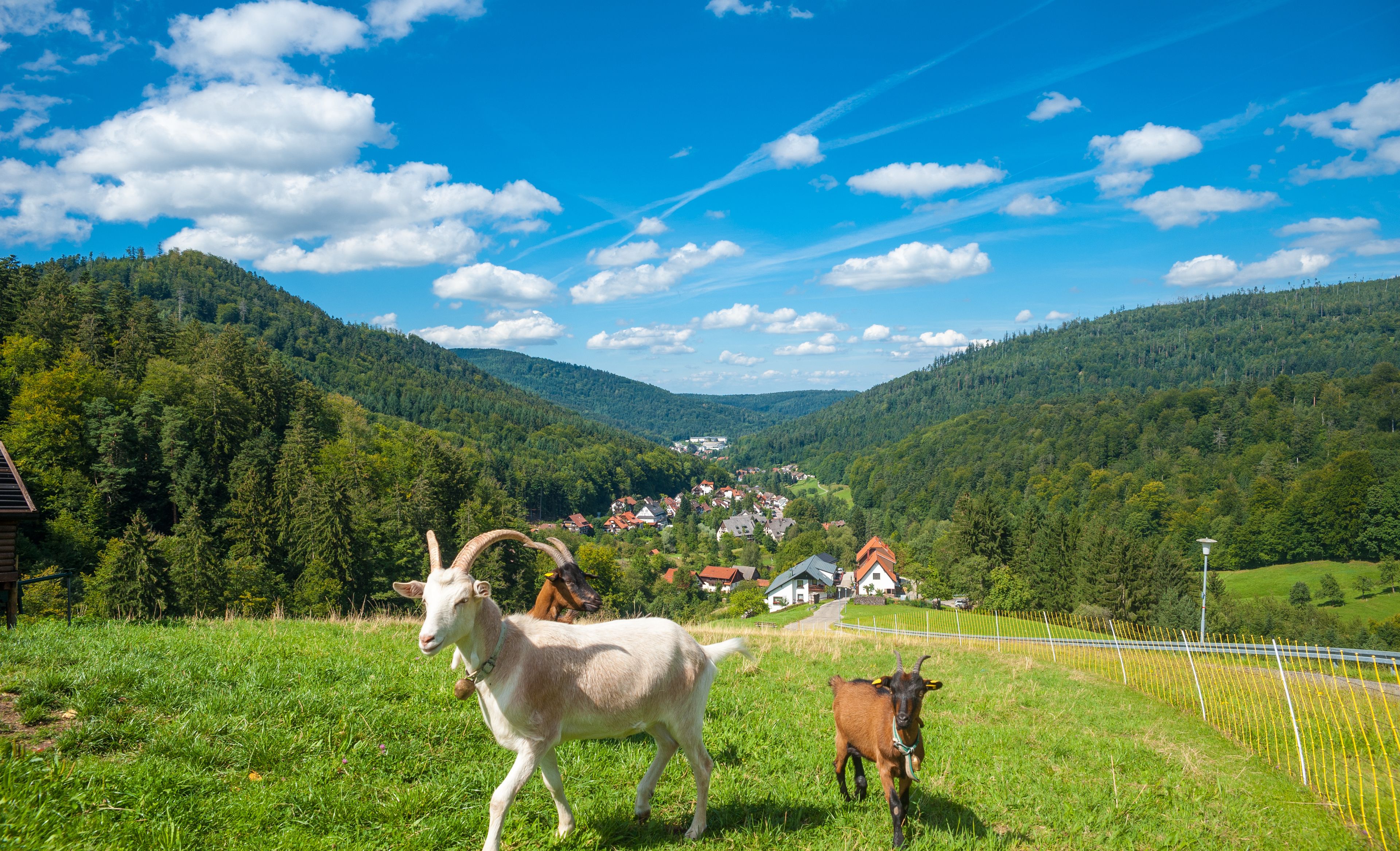 Kurorte in Deutschland | Die schönsten Heilbäder in Deutschland