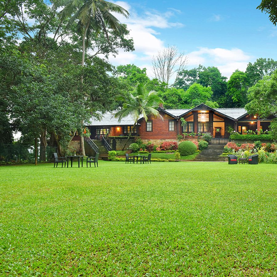 Tree of Life in Kandy – Jetzt günstig buchen!