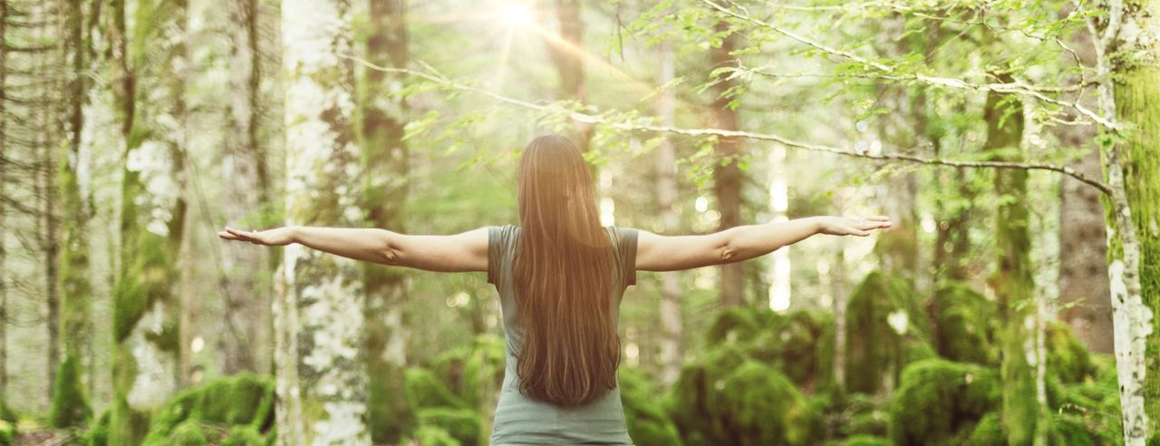Forest therapy - The healing power of nature