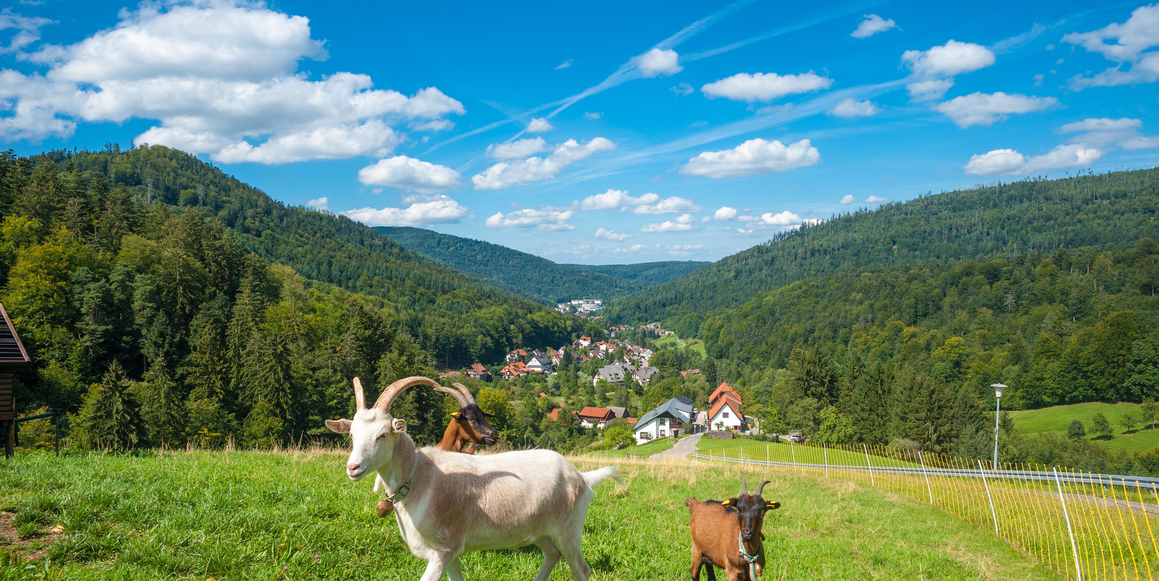 Die 20 besten Kurorte in Deutschland